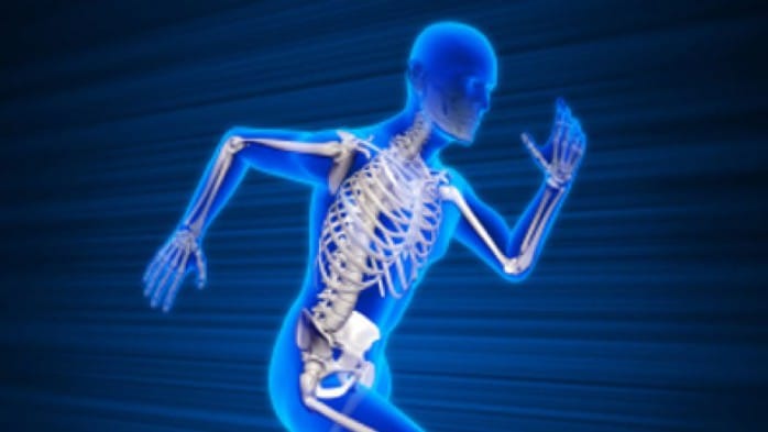 Stronger Bones - Modern Athlete